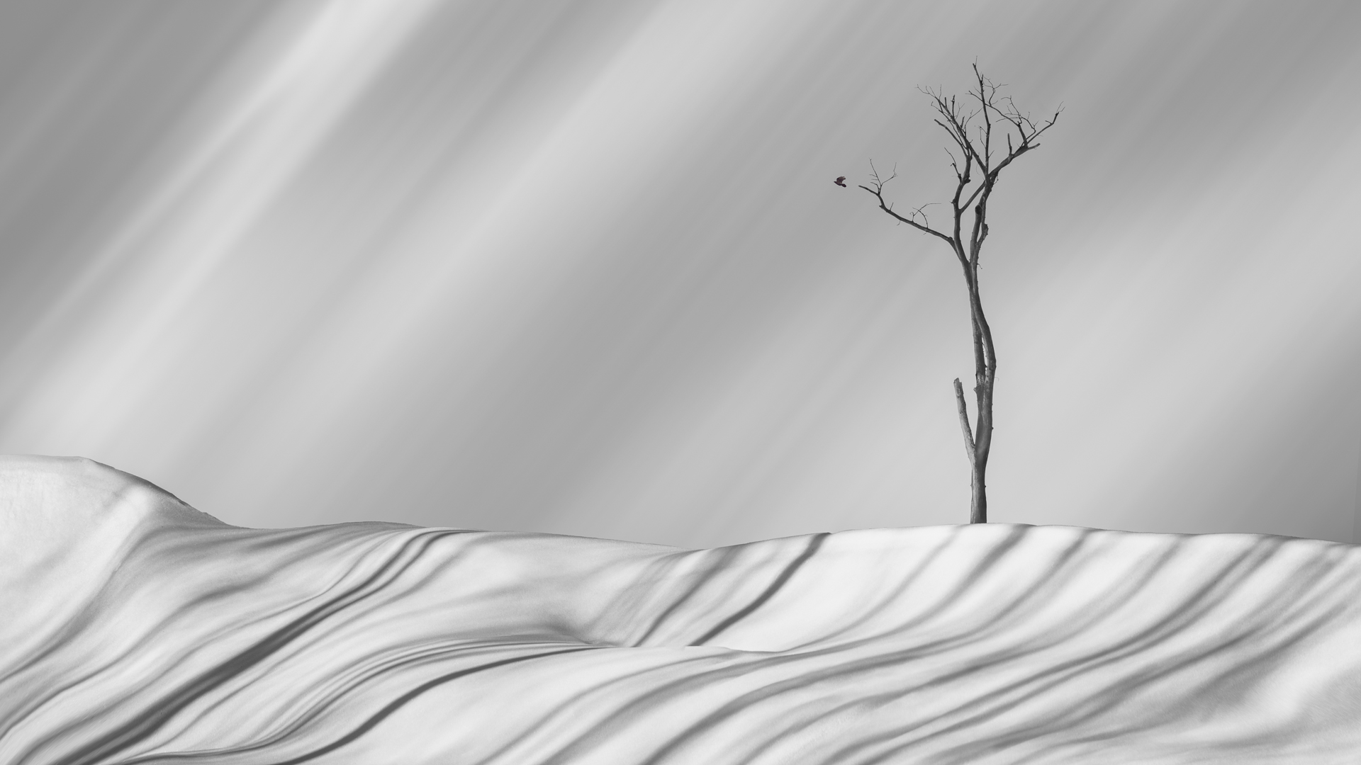 Photos soumises SPPQ – Circuit photos – Club photo des Pays-d'en-Haut